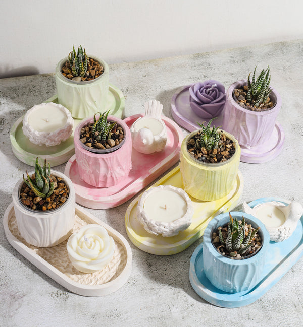 The Perfect Planter Bundle – Claymate