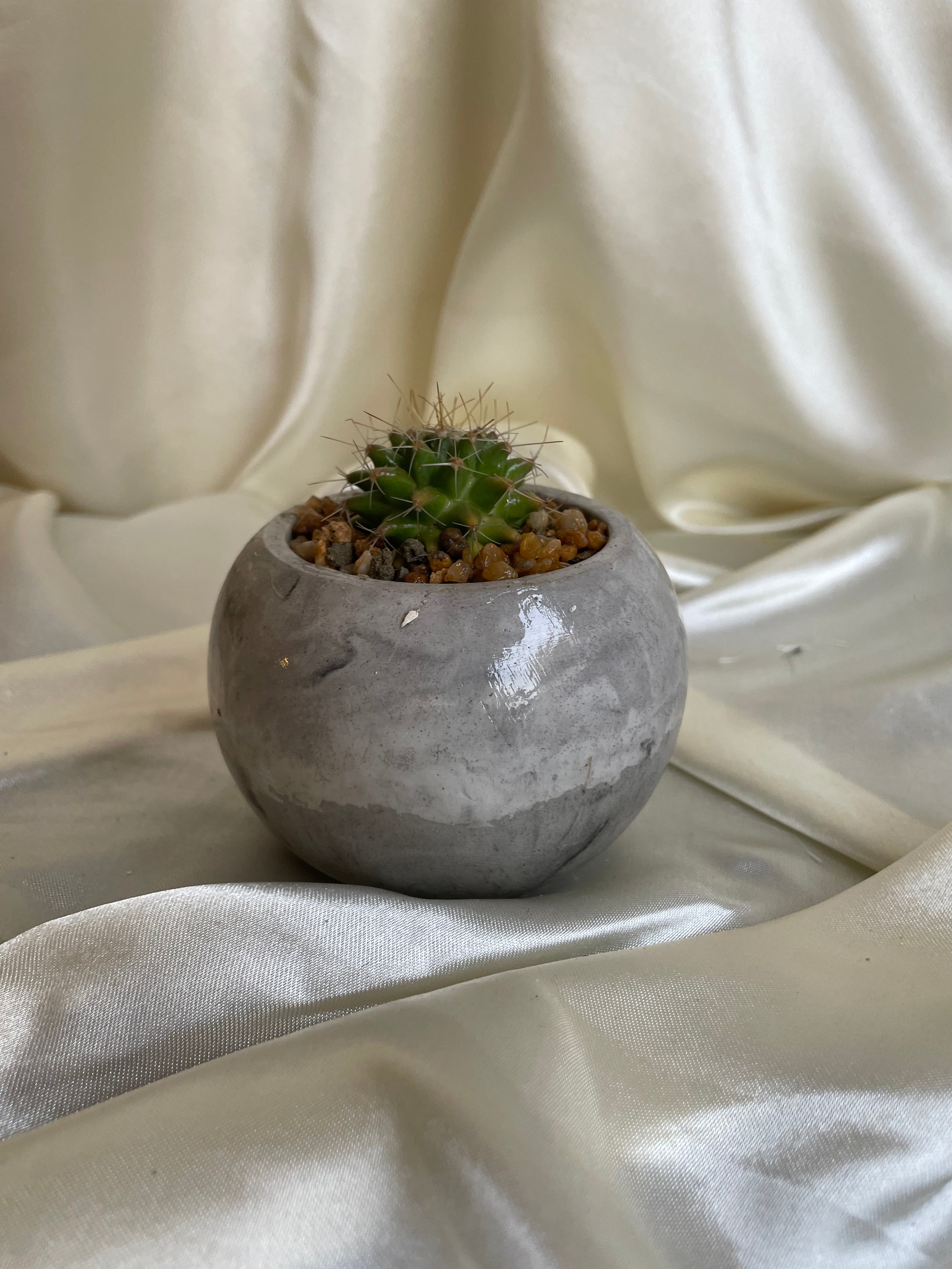 Planters – Claymate