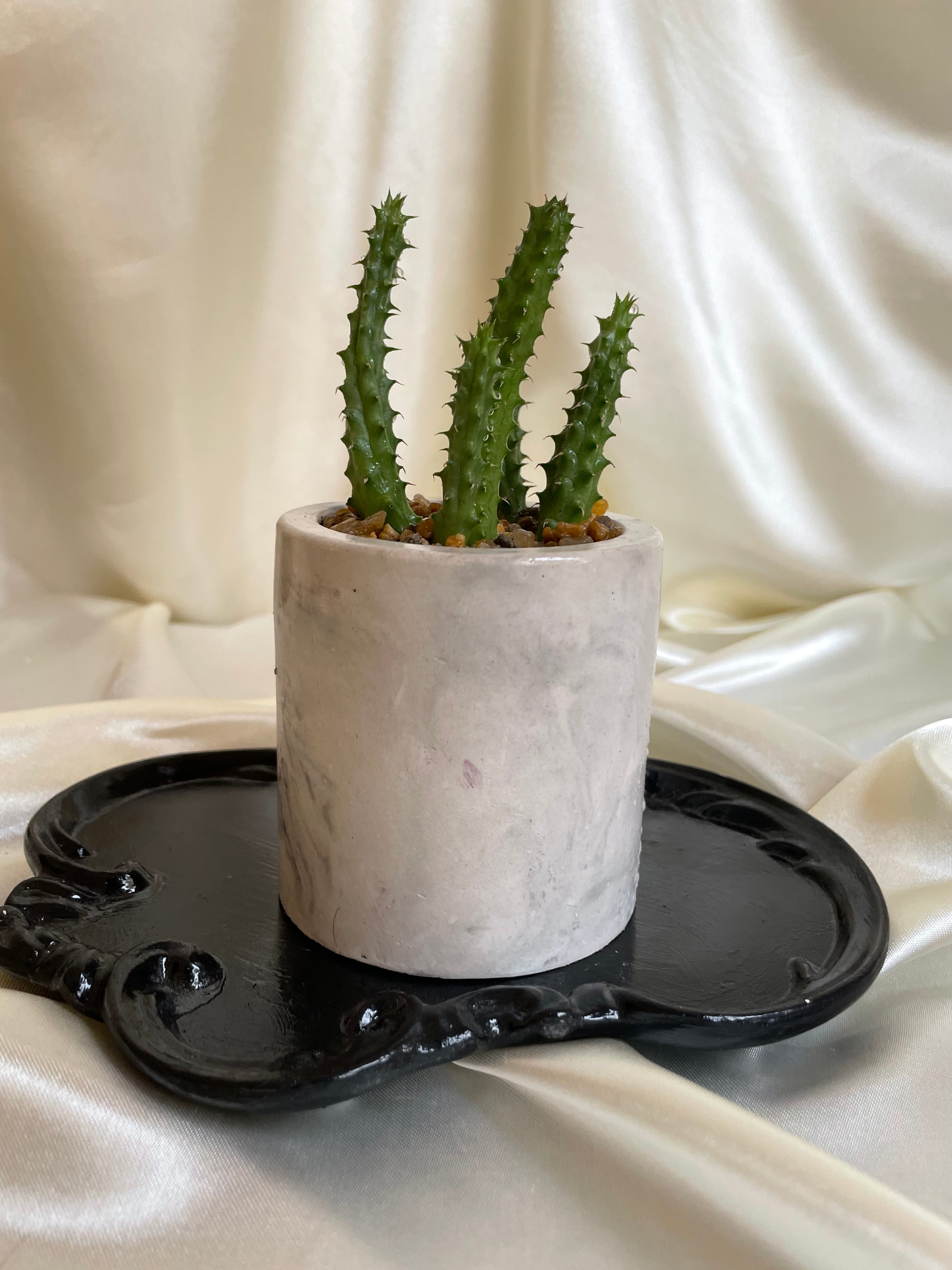 Planters – Claymate